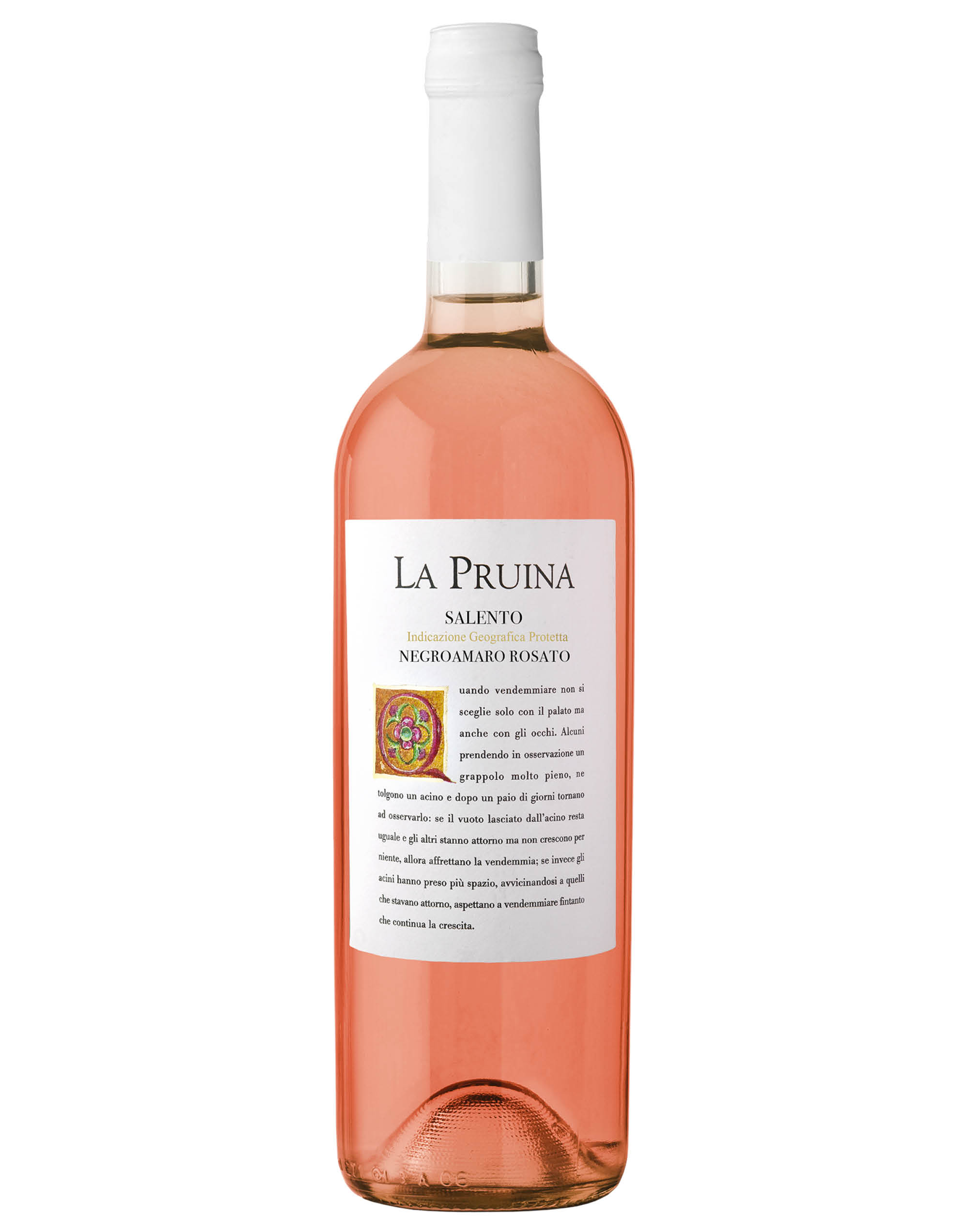 Salento Rosato IGT La Pruina 2020 0,75 ℓ, rosé wine