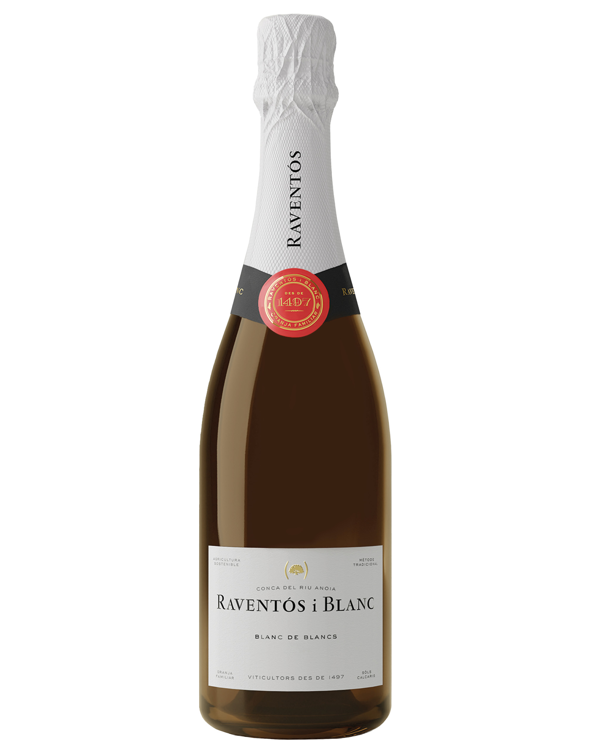 Conca del Riu Anoia DO Blanc de Blancs Raventós i Blanc 2021 0,75 ℓ