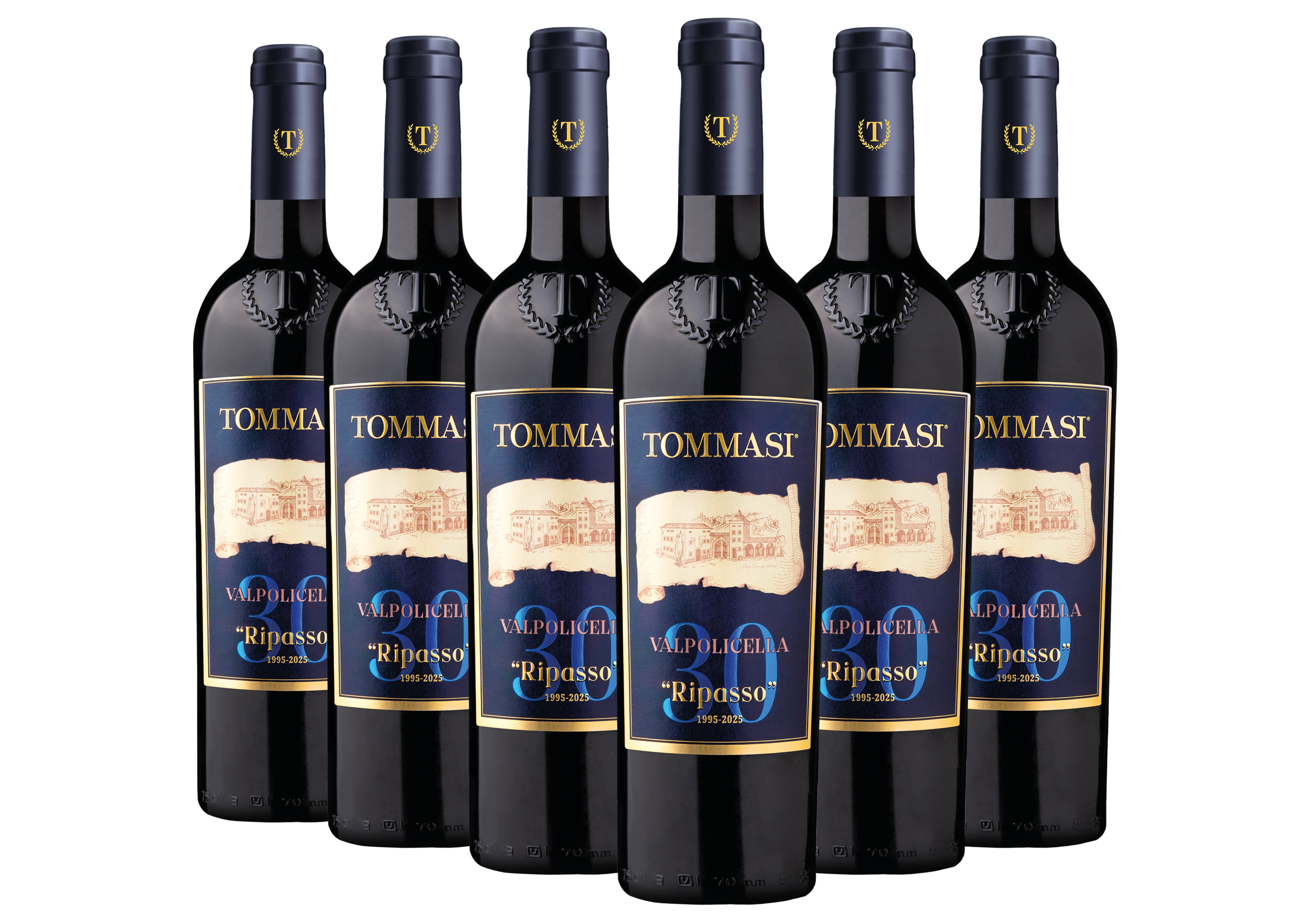 Valpolicella Ripasso Classico Superiore DOC Tommasi 2022 6 botellas...