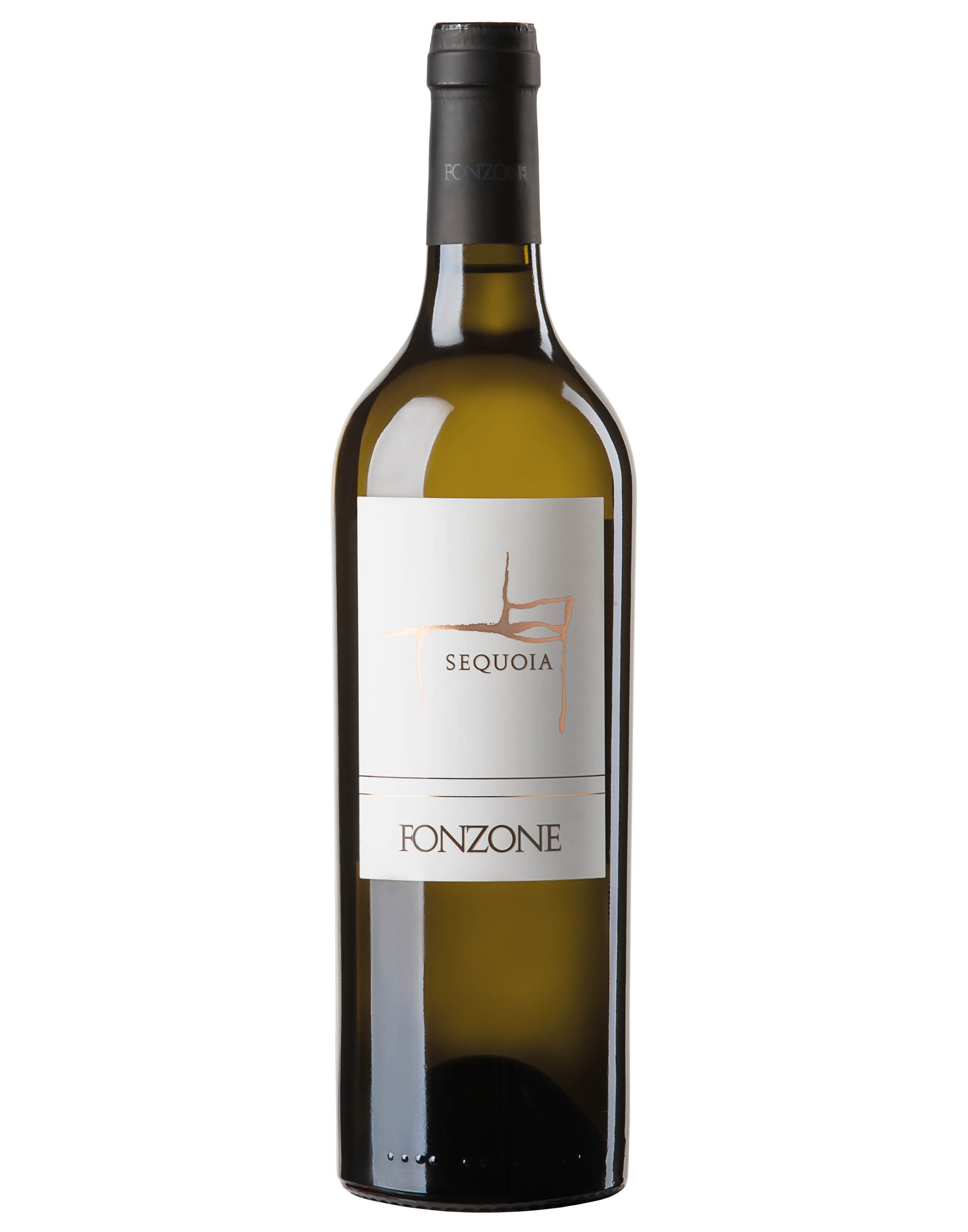 Irpinia Fiano DOC Sequoia Fonzone 2022 0,75 ℓ, white wine